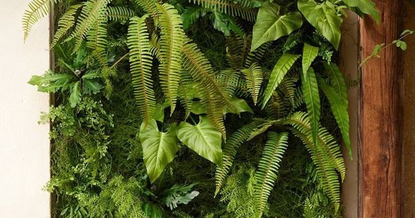 Living Wall perete verde artificial 1x1m