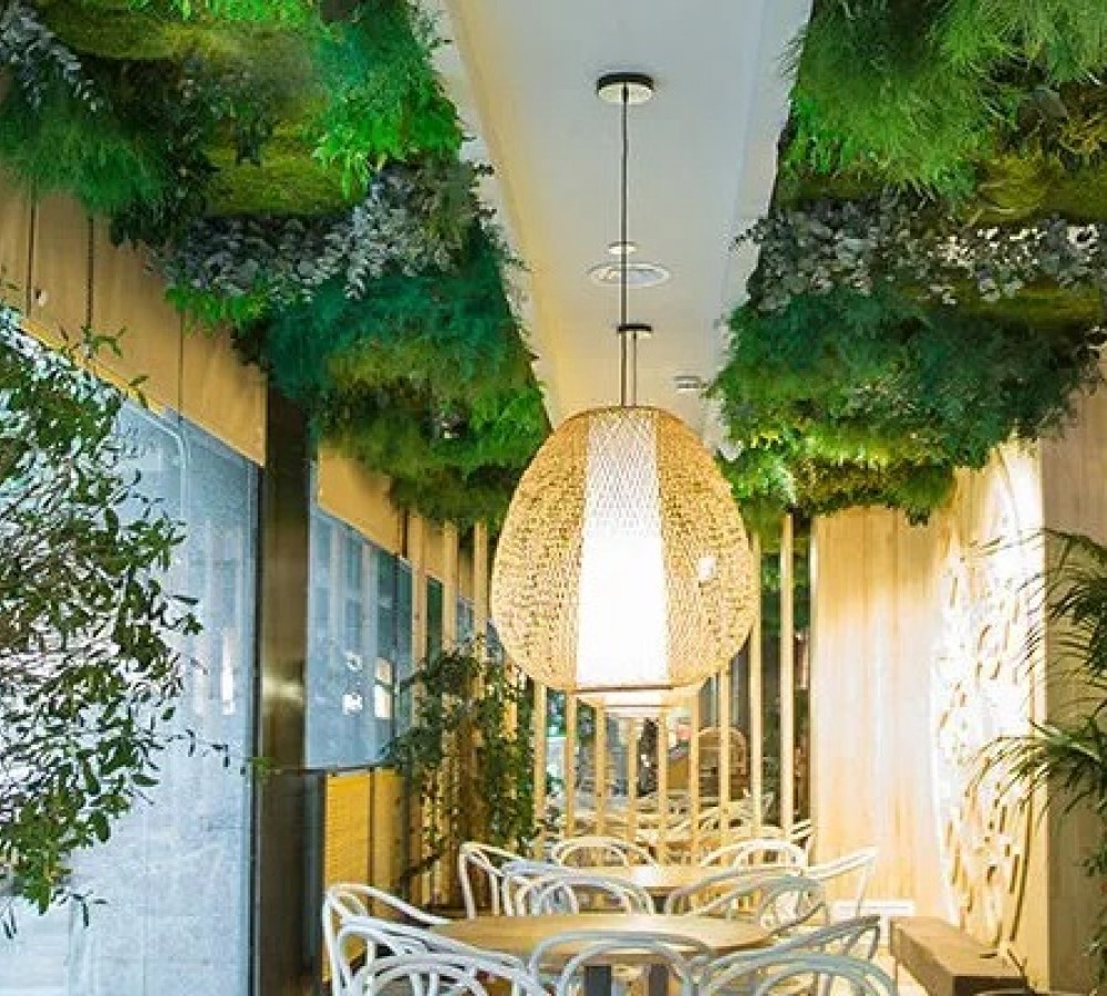 Plante Artificiale Premium | Gama Variată | Durabilitate Excepțională