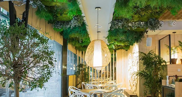 Plante Artificiale Premium | Gama Variată | Durabilitate Excepțională