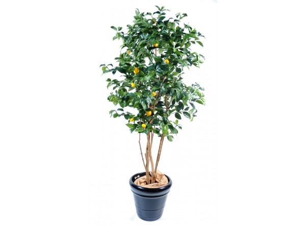 Plante Artificiale Premium | Gama Variată | Durabilitate Excepțională