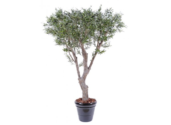 Plante Artificiale Premium | Gama Variată | Durabilitate Excepțională